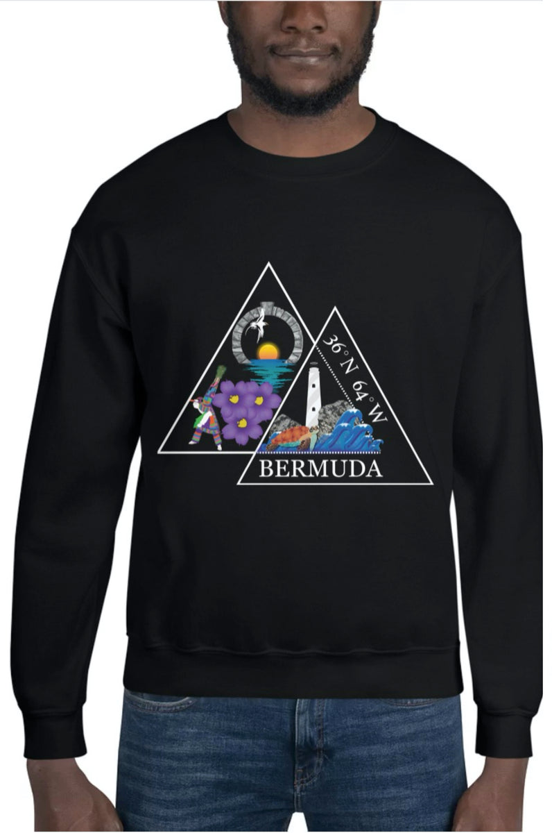 Long-Sleeve Crew Neck Shirt Bermuda Triangle – Busy Evolving Apparel