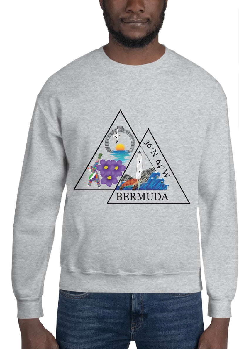 Long-Sleeve Crew Neck Shirt Bermuda Triangle – Busy Evolving Apparel